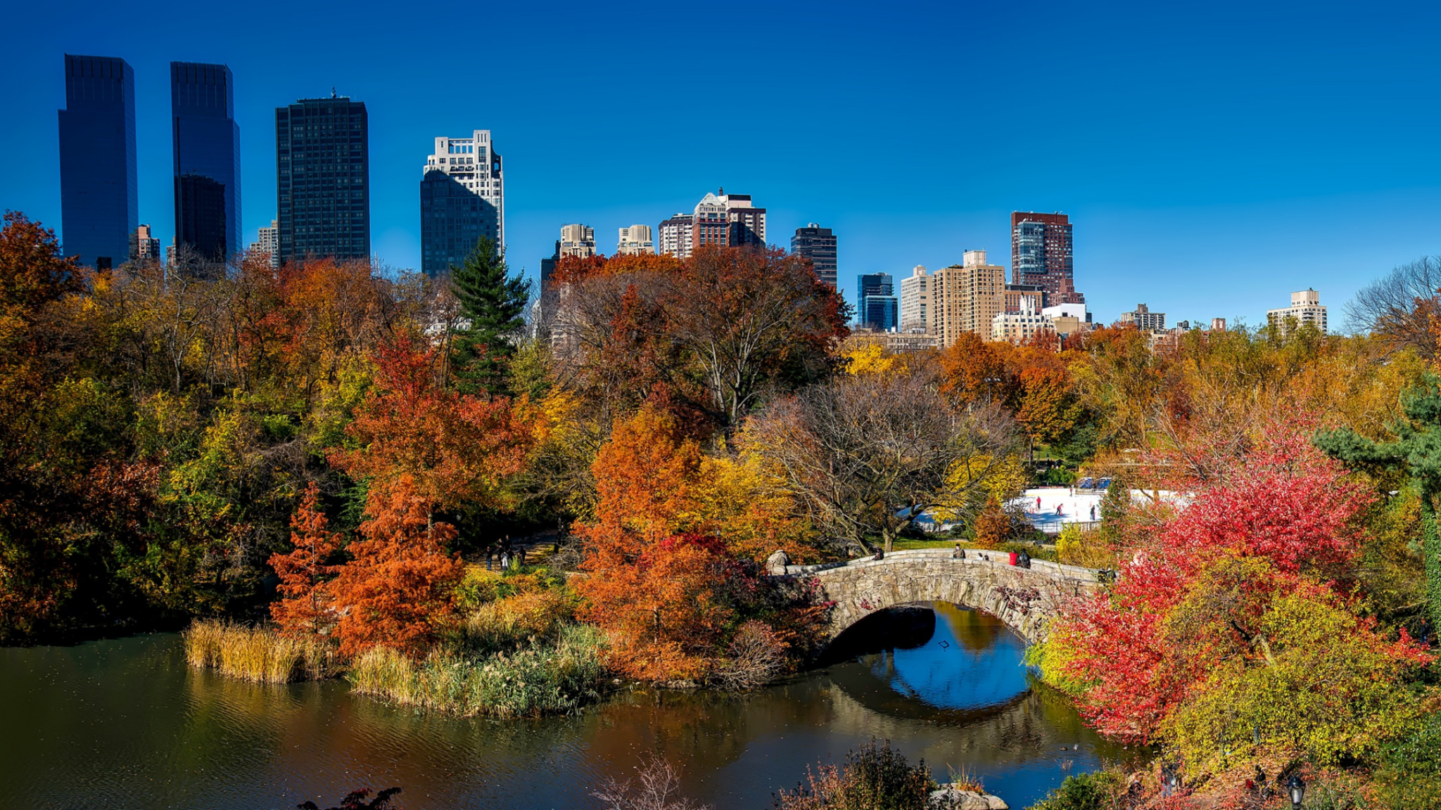New York City’s Spectrum of Seasons - Beat of NYC